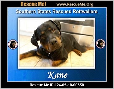 - Texas Rottweiler Rescue - ADOPTIONS - Rescue Me!