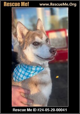 - Delaware Dog Rescue - ADOPTIONS - Rescue Me!