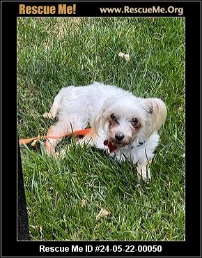 - New York Dog Rescue - ADOPTIONS - Rescue Me!