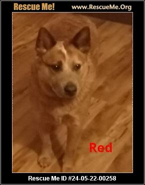 - Pennsylvania Dog Rescue - ADOPTIONS - Rescue Me!