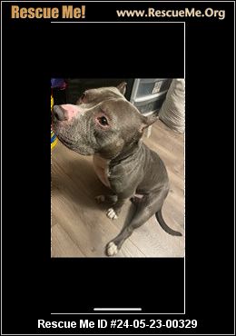 - Pennsylvania Dog Rescue - ADOPTIONS - Rescue Me!