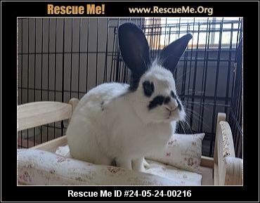 - Virginia Rabbit Rescue - ADOPTIONS - Rescue Me!