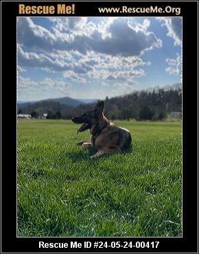 - West Virginia Dog Rescue - ADOPTIONS - Rescue Me!