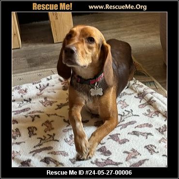 - Oregon Dog Rescue - ADOPTIONS - Rescue Me!
