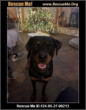 - Texas Rottweiler Rescue - ADOPTIONS - Rescue Me!