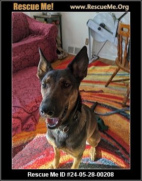 - Pennsylvania German Shepherd Rescue - ADOPTIONS - Rescue Me!