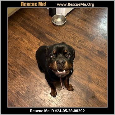 - Illinois Dog Rescue - ADOPTIONS - Rescue Me!