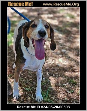 - Oregon Dog Rescue - ADOPTIONS - Rescue Me!