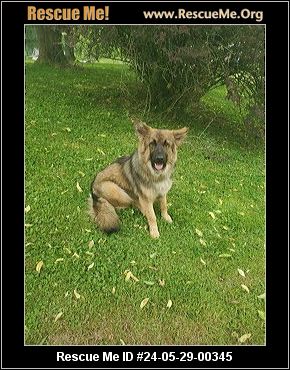 - West Virginia Dog Rescue - ADOPTIONS - Rescue Me!