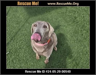 - Oregon Dog Rescue - ADOPTIONS - Rescue Me!