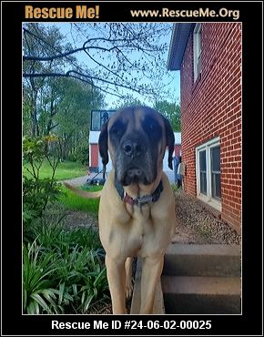 - Pennsylvania Dog Rescue - ADOPTIONS - Rescue Me!