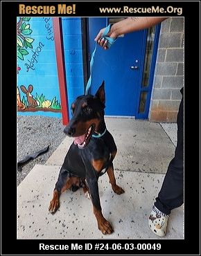 - Virginia Dog Rescue - ADOPTIONS - Rescue Me!