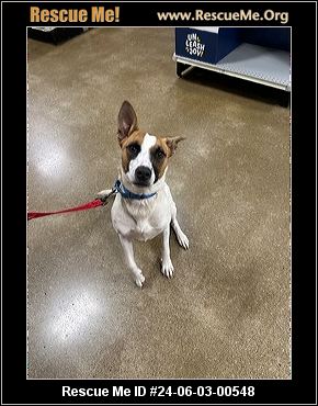 - Oregon Dog Rescue - ADOPTIONS - Rescue Me!