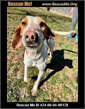 - Virginia Dog Rescue - ADOPTIONS - Rescue Me!