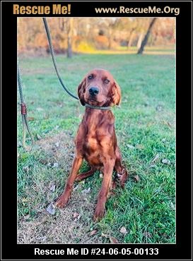 - Pennsylvania Dog Rescue - ADOPTIONS - Rescue Me!