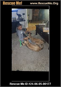 - Delaware Dog Rescue - ADOPTIONS - Rescue Me!