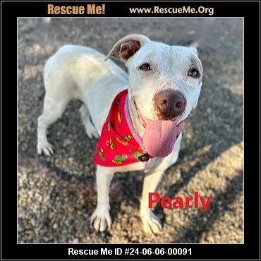 - Arizona Dog Rescue - ADOPTIONS - Rescue Me!