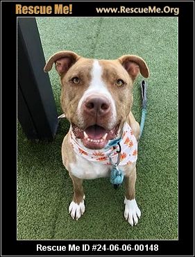 - Arizona Dog Rescue - ADOPTIONS - Rescue Me!