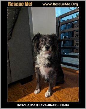 - Nebraska Dog Rescue - ADOPTIONS - Rescue Me!