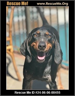 - South Carolina Dog Rescue - ADOPTIONS - Rescue Me!