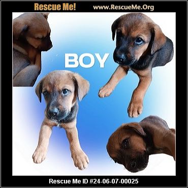 - Alabama Dog Rescue - ADOPTIONS - Rescue Me!