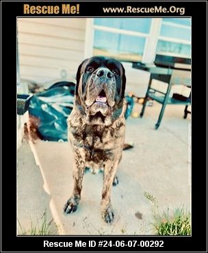 - Utah Dog Rescue - ADOPTIONS - Rescue Me!