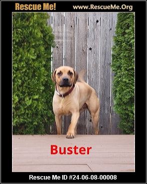 - Idaho Dog Rescue - ADOPTIONS - Rescue Me!