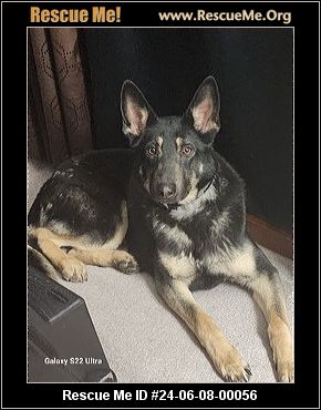 - Pennsylvania German Shepherd Rescue - ADOPTIONS - Rescue Me!