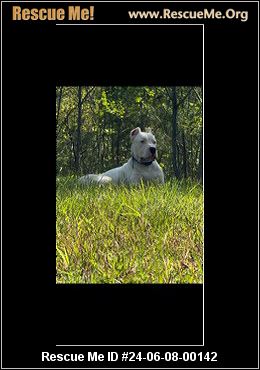 - Alabama Dog Rescue - ADOPTIONS - Rescue Me!