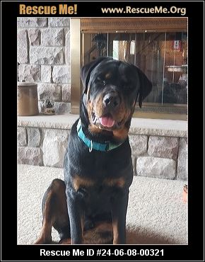 - Pennsylvania Dog Rescue - ADOPTIONS - Rescue Me!