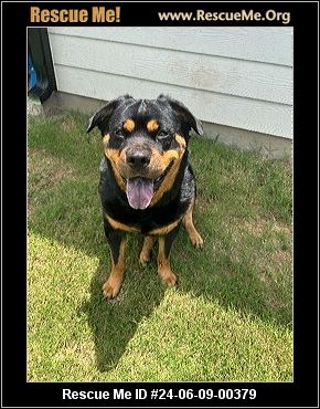 - Texas Rottweiler Rescue - ADOPTIONS - Rescue Me!