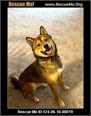 - Pennsylvania Dog Rescue - ADOPTIONS - Rescue Me!