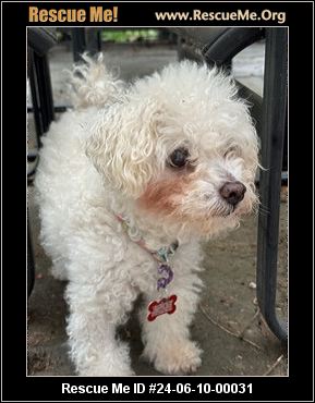 - Delaware Dog Rescue - ADOPTIONS - Rescue Me!