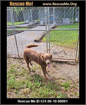 - Kentucky Dog Rescue - ADOPTIONS - Rescue Me!