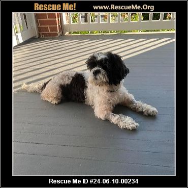 - Pennsylvania Dog Rescue - ADOPTIONS - Rescue Me!
