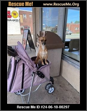 - Pennsylvania Dog Rescue - ADOPTIONS - Rescue Me!