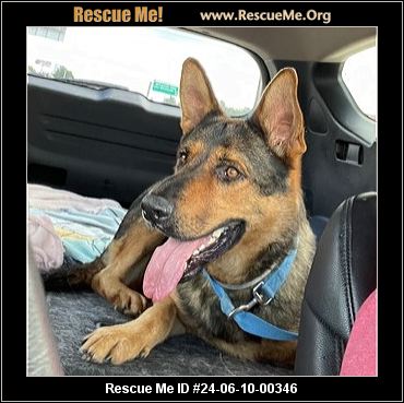 - Pennsylvania Dog Rescue - ADOPTIONS - Rescue Me!