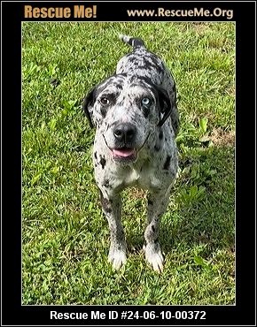 - Georgia Dog Rescue - ADOPTIONS - Rescue Me!