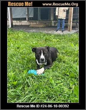 - Georgia Dog Rescue - ADOPTIONS - Rescue Me!