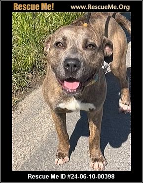 - Georgia Dog Rescue - ADOPTIONS - Rescue Me!