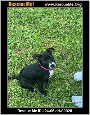 - Georgia Dog Rescue - ADOPTIONS - Rescue Me!