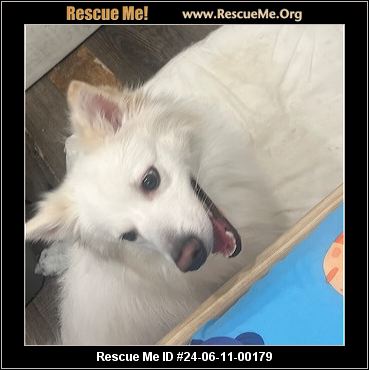 - Pennsylvania Dog Rescue - ADOPTIONS - Rescue Me!