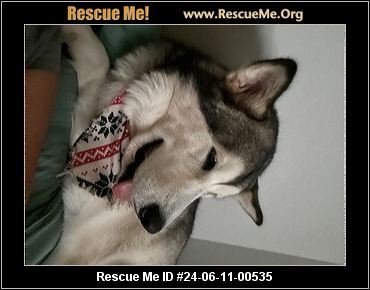 - North Carolina Dog Rescue - ADOPTIONS - Rescue Me!