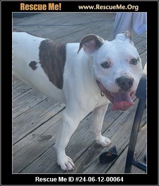 - Kentucky Dog Rescue - ADOPTIONS - Rescue Me!