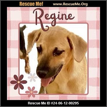 - North Carolina Dog Rescue - ADOPTIONS - Rescue Me!