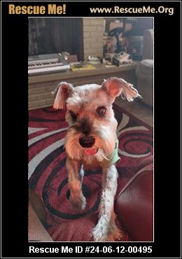 - Illinois Dog Rescue - ADOPTIONS - Rescue Me!