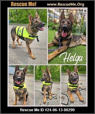 - New Jersey Dog Rescue - ADOPTIONS - Rescue Me!