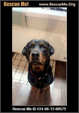 - Texas Rottweiler Rescue - ADOPTIONS - Rescue Me!