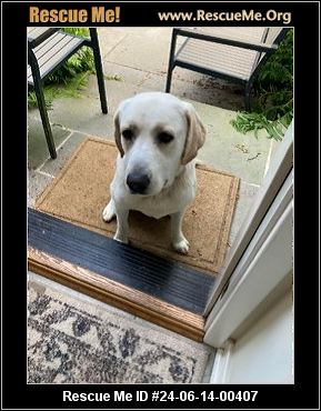 - Maryland Dog Rescue - ADOPTIONS - Rescue Me!