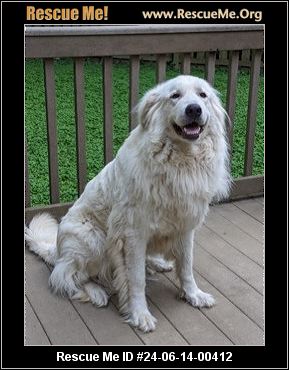 - Alabama Mutt Rescue - ADOPTIONS - Rescue Me!